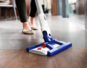 Dyson DC 56 Review: Which one is Best Hard or Lightweight?